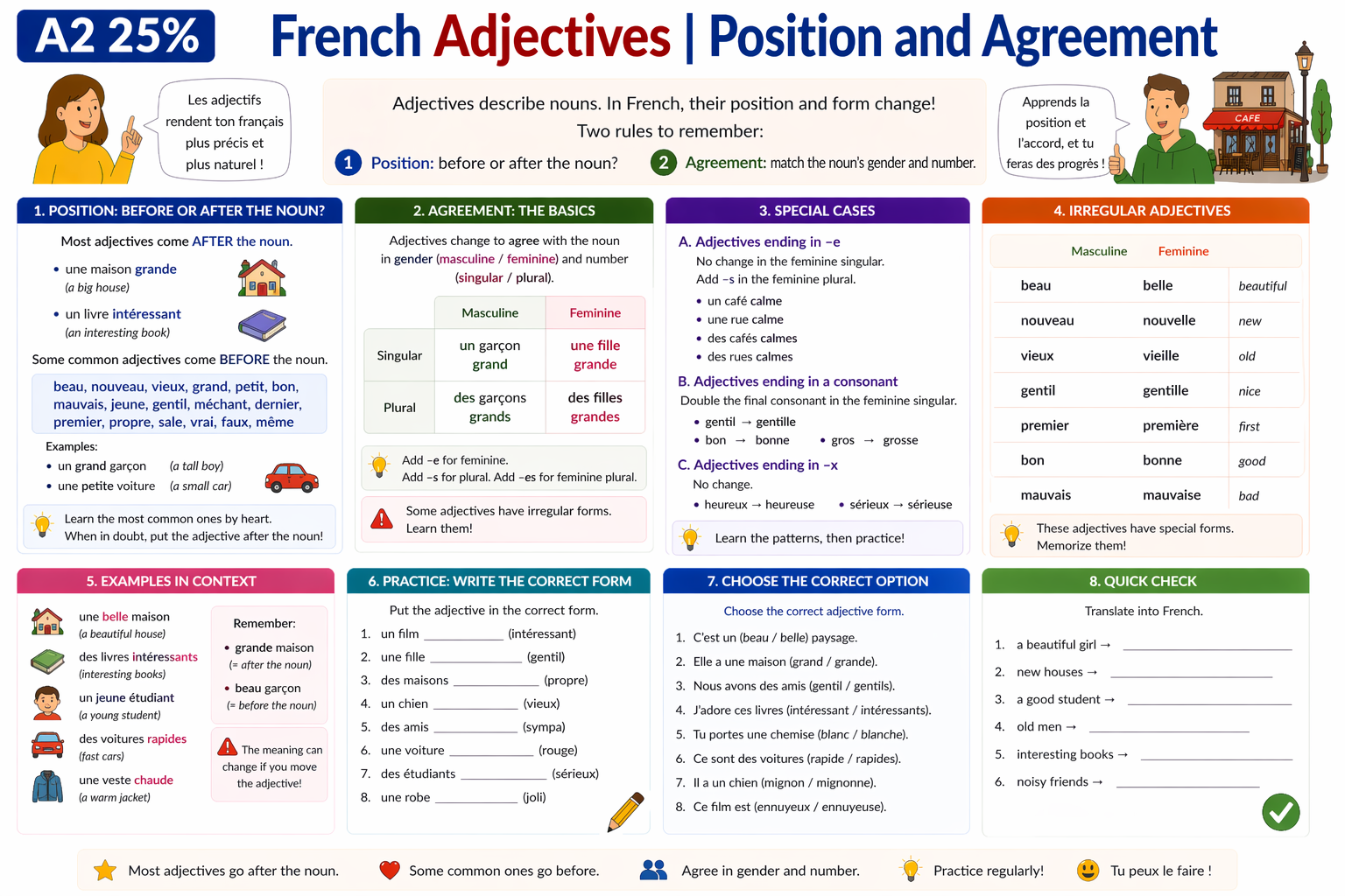 Adjectives | Position and Agreement - French IB Hub